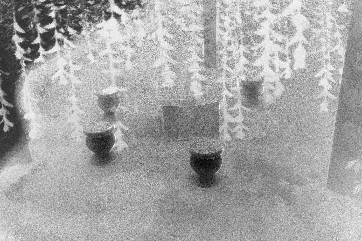 Wenxuan Wang 王文轩